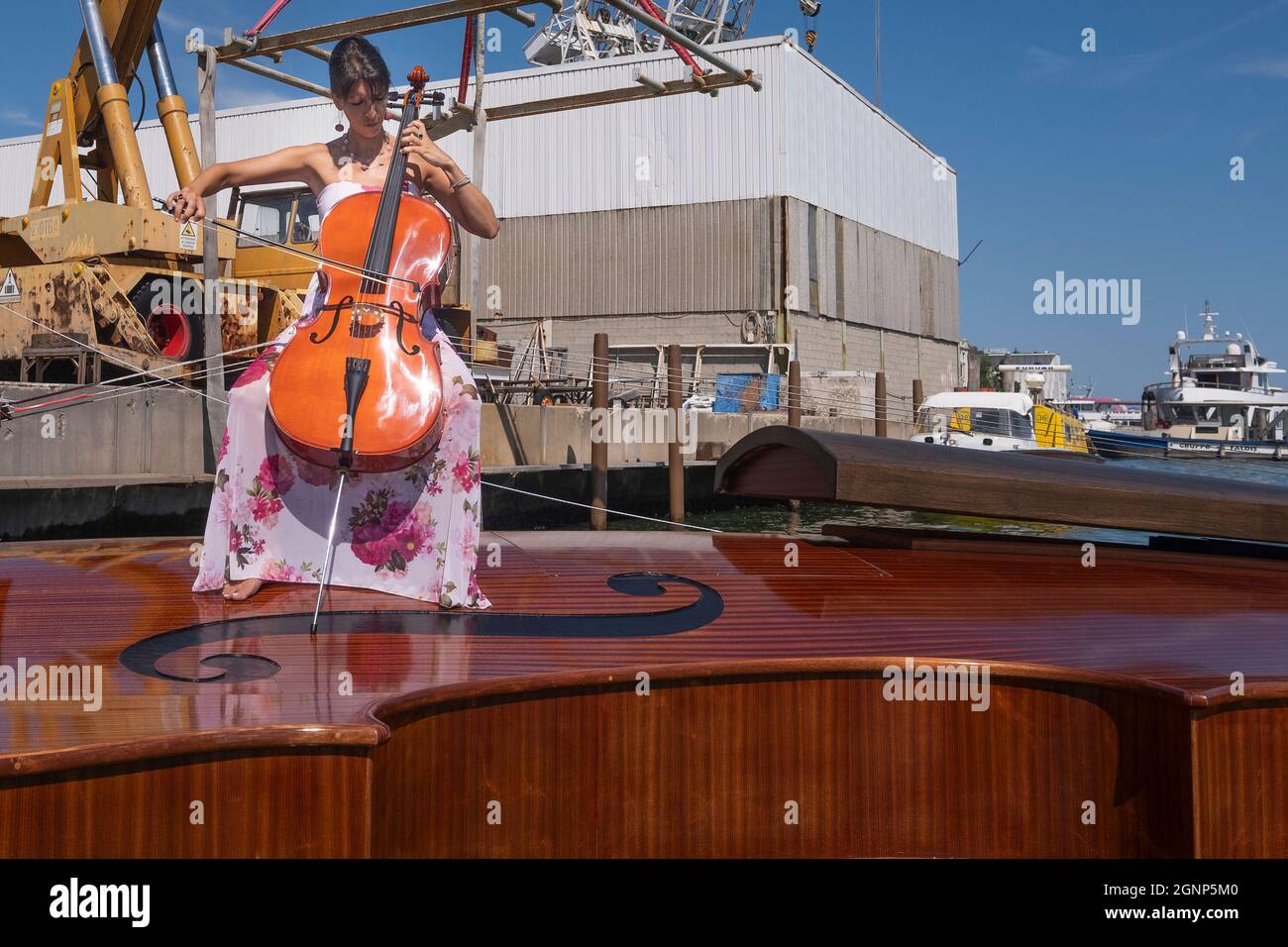 Violin shaped hi-res stock photography and images - Alamy