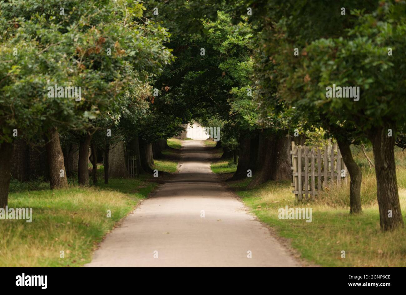 Gravel pathway hi-res stock photography and images - Alamy