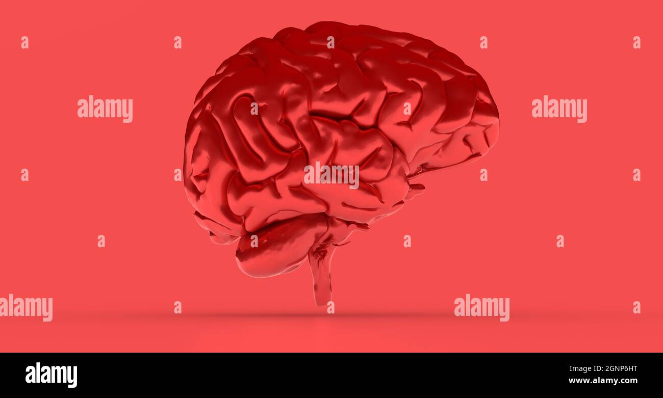 3d rendering of a red human brain on technology on a red background ...