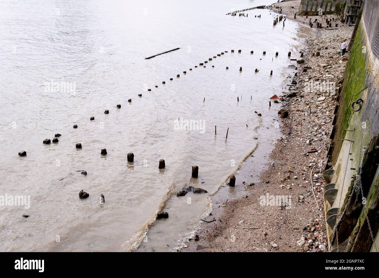 With the wooden piles of old warves and quays revealed in the low tidal ...