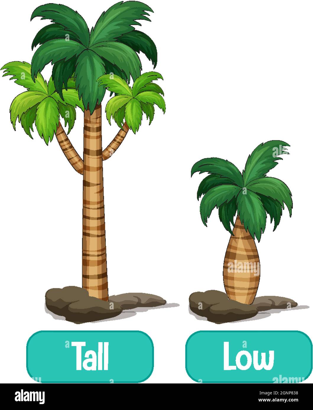 Opposite words with tall and low illustration Stock Vector Image & Art ...