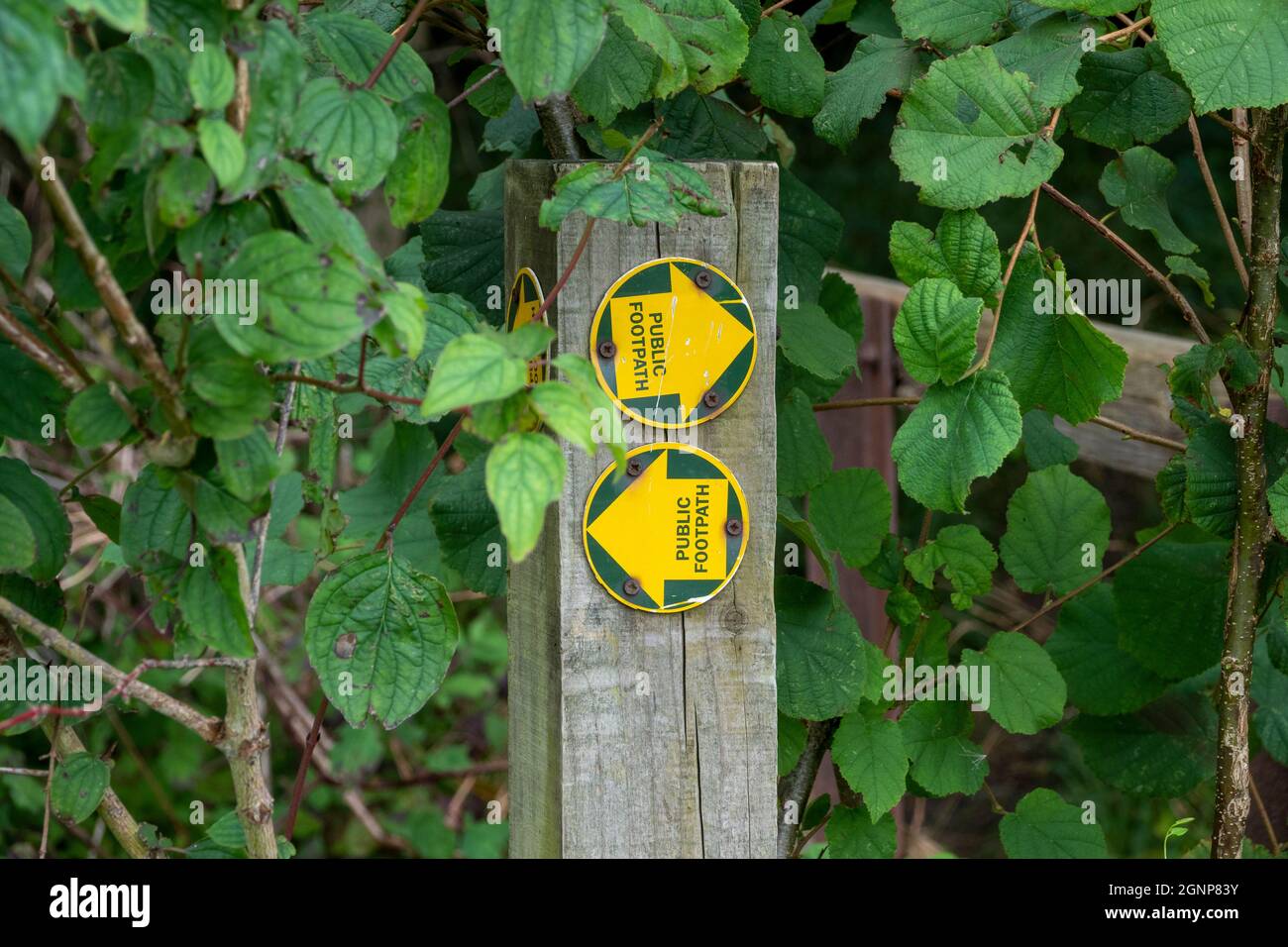 Pathway signs hi-res stock photography and images - Alamy