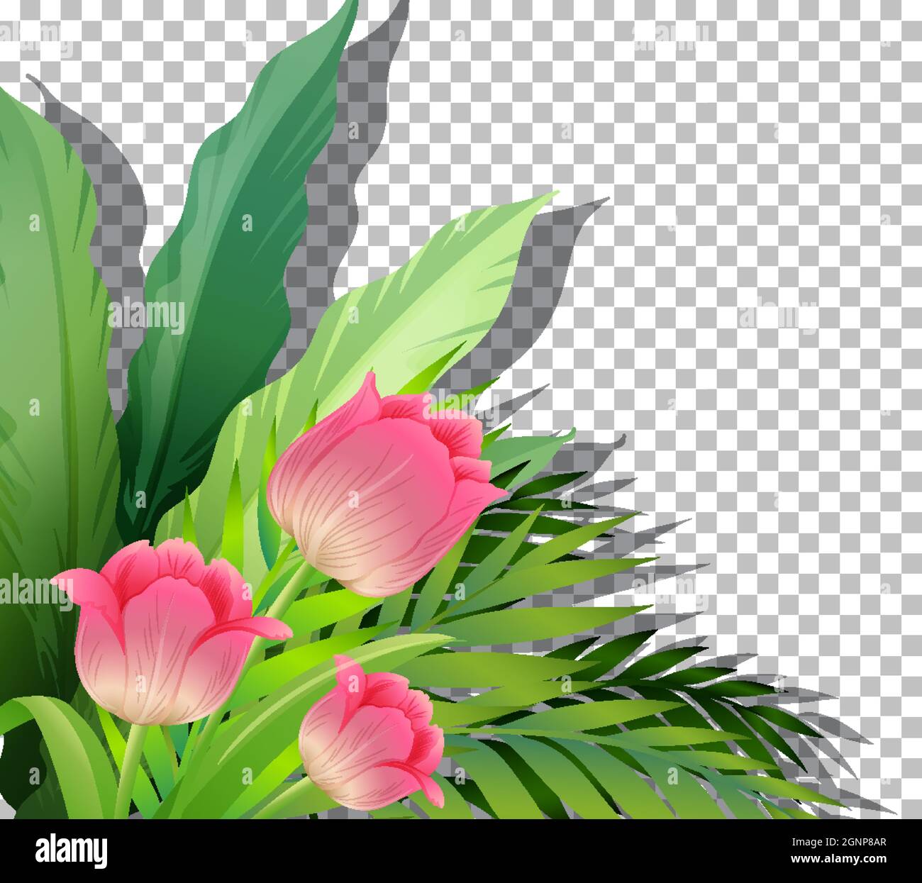 Tropical plant on transparent background illustration Stock Vector ...