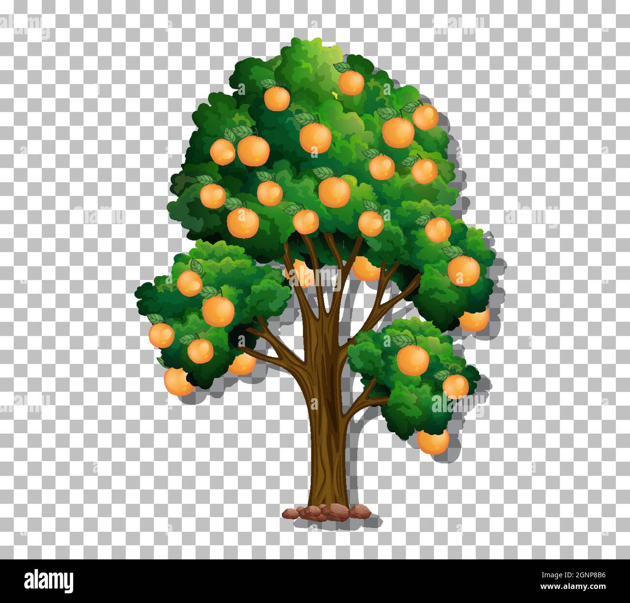 Tree on transparent background illustration Stock Vector Image & Art ...