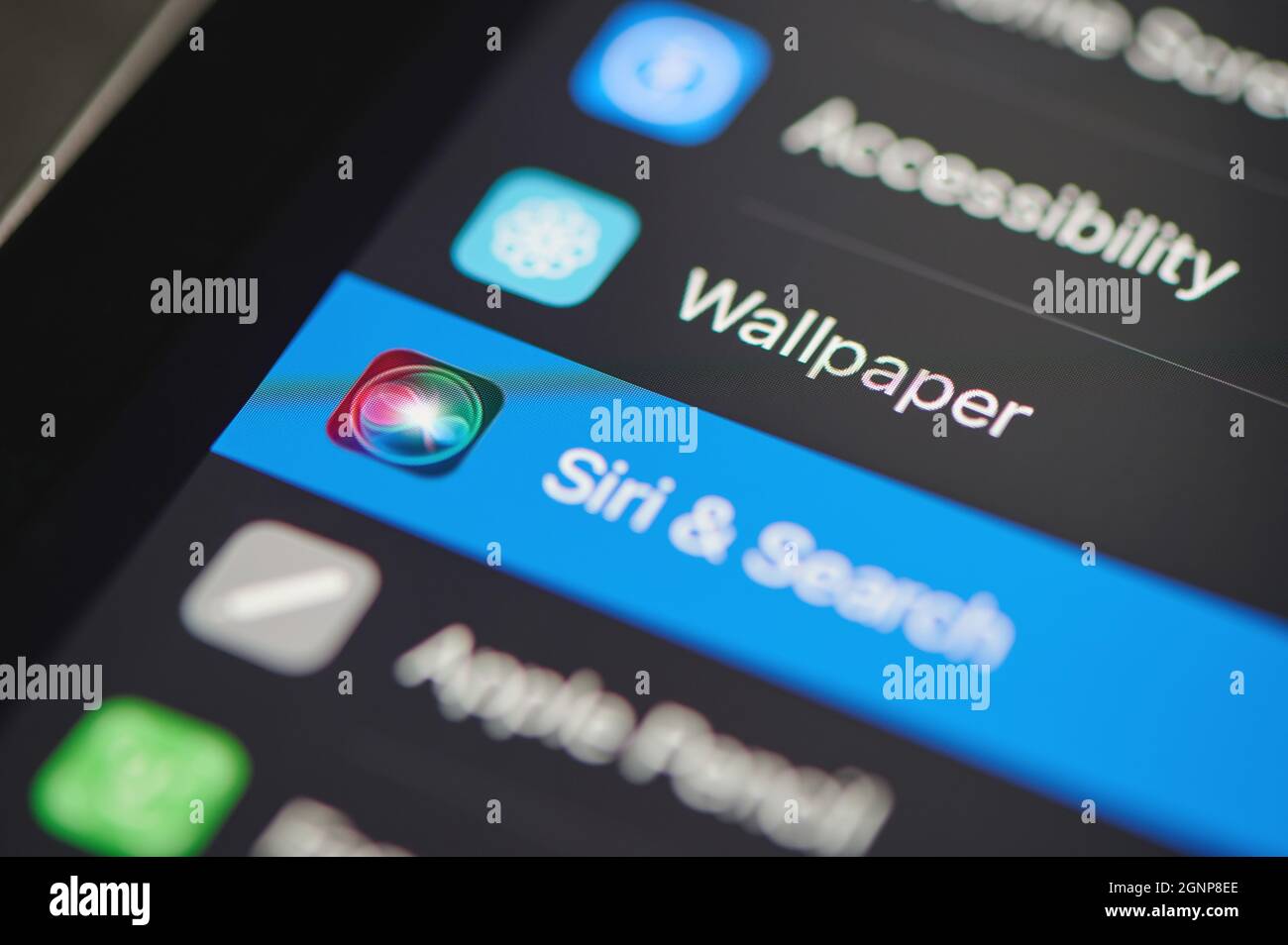 New york, USA - September 24 2021: Check apple siri menu on ipad panel ...