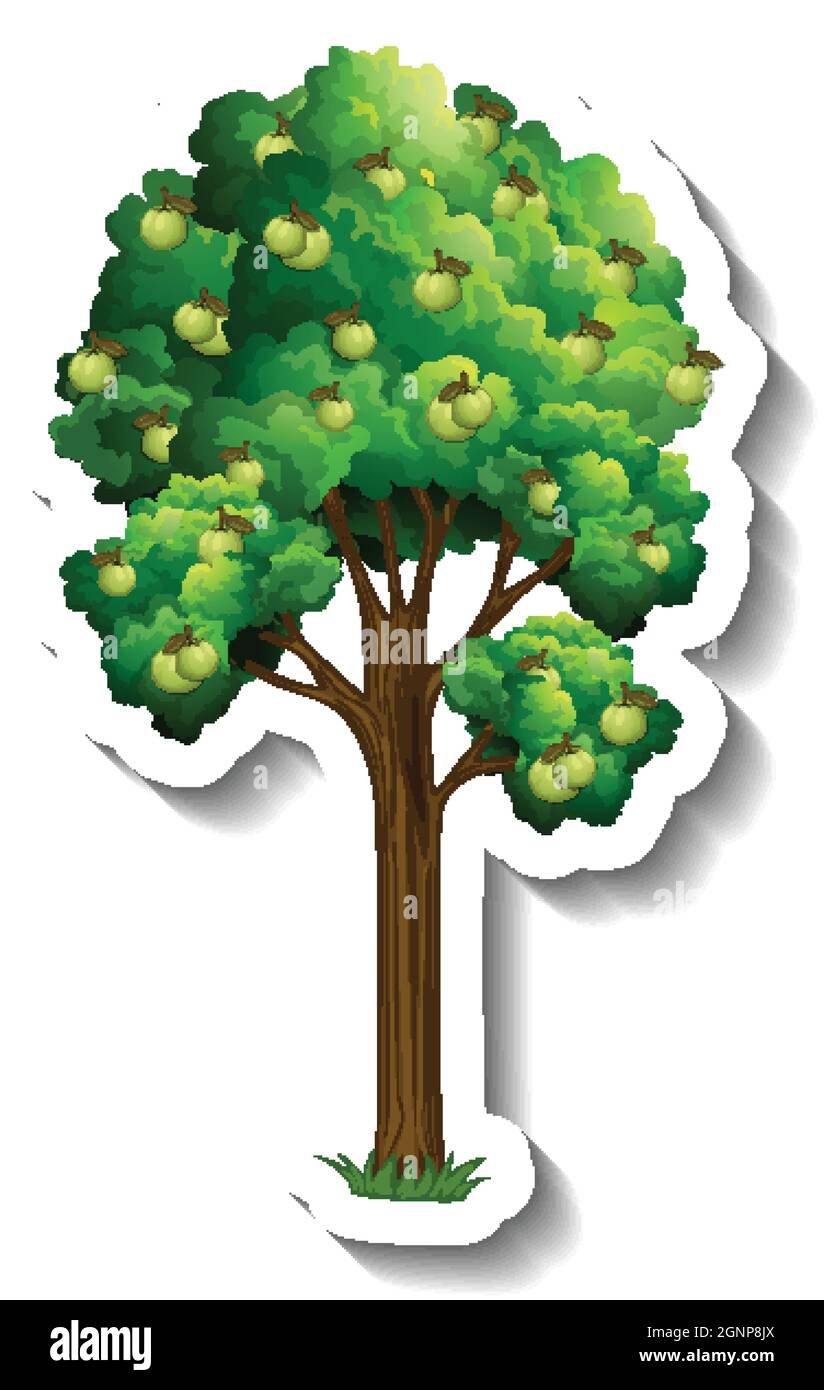 Guava tree sticker on white background illustration Stock Vector Image ...