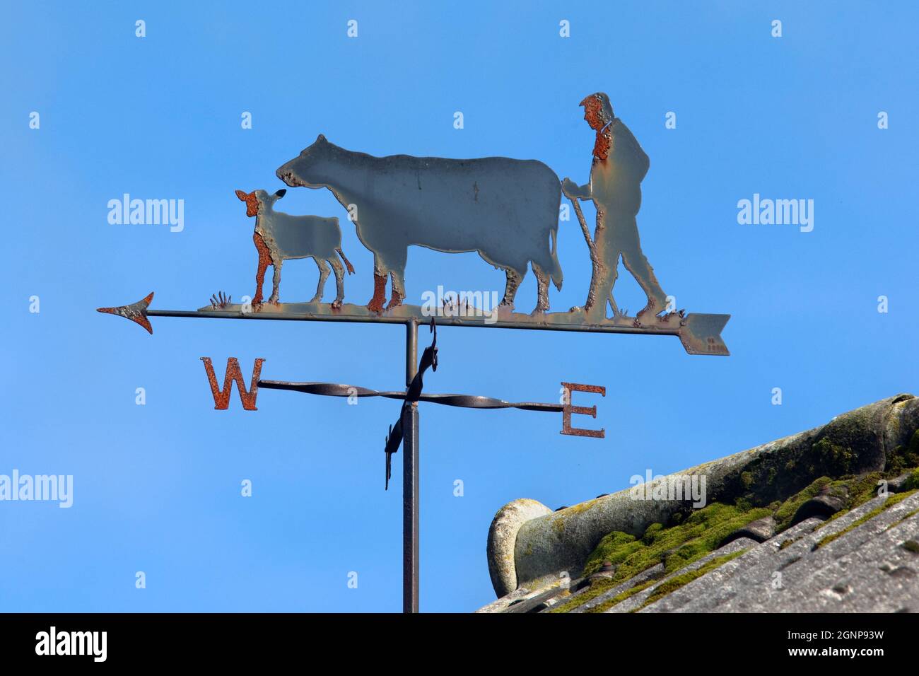 Weather vane on farm buildings, UK Stock Photo - Alamy