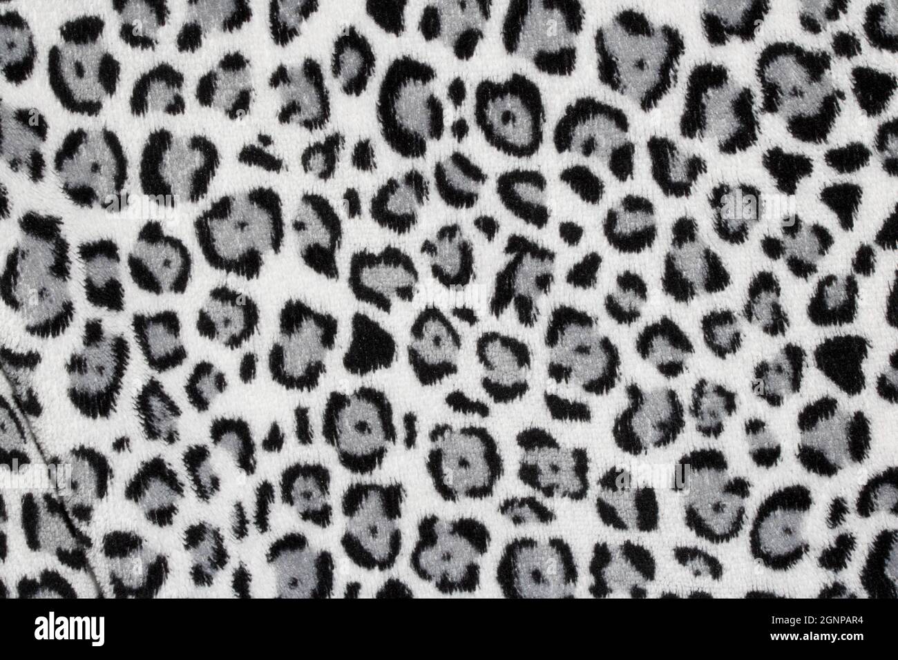 Snow Leopard Fur Print