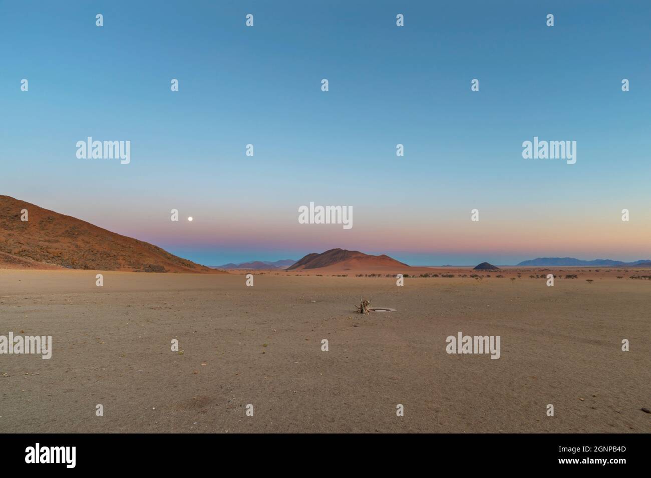 First light of the day in the desert Stock Photo - Alamy