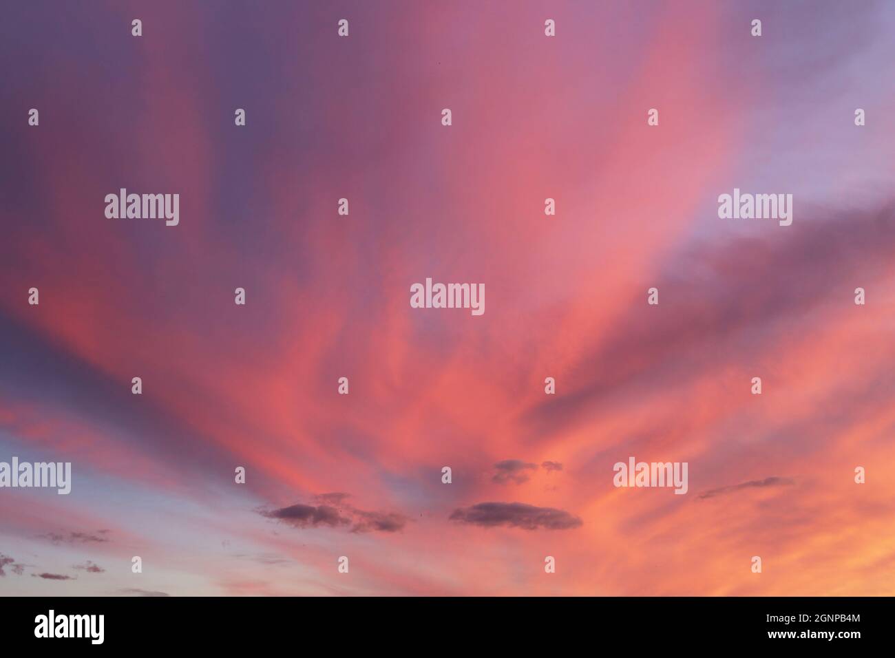 Pink sunset sky with clouds background Stock Photo - Alamy