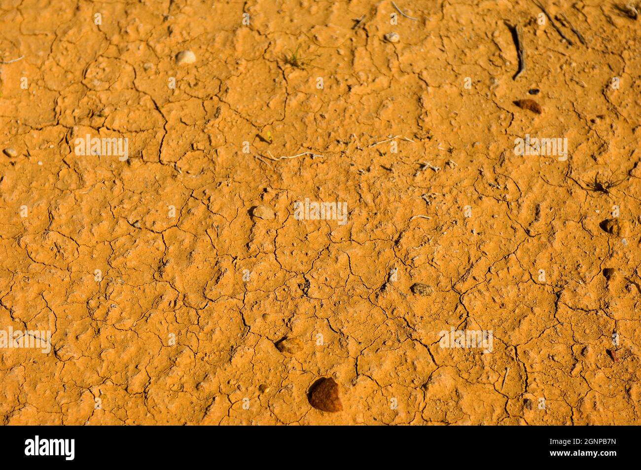Desert floor in the outback, Australia Stock Photo - Alamy