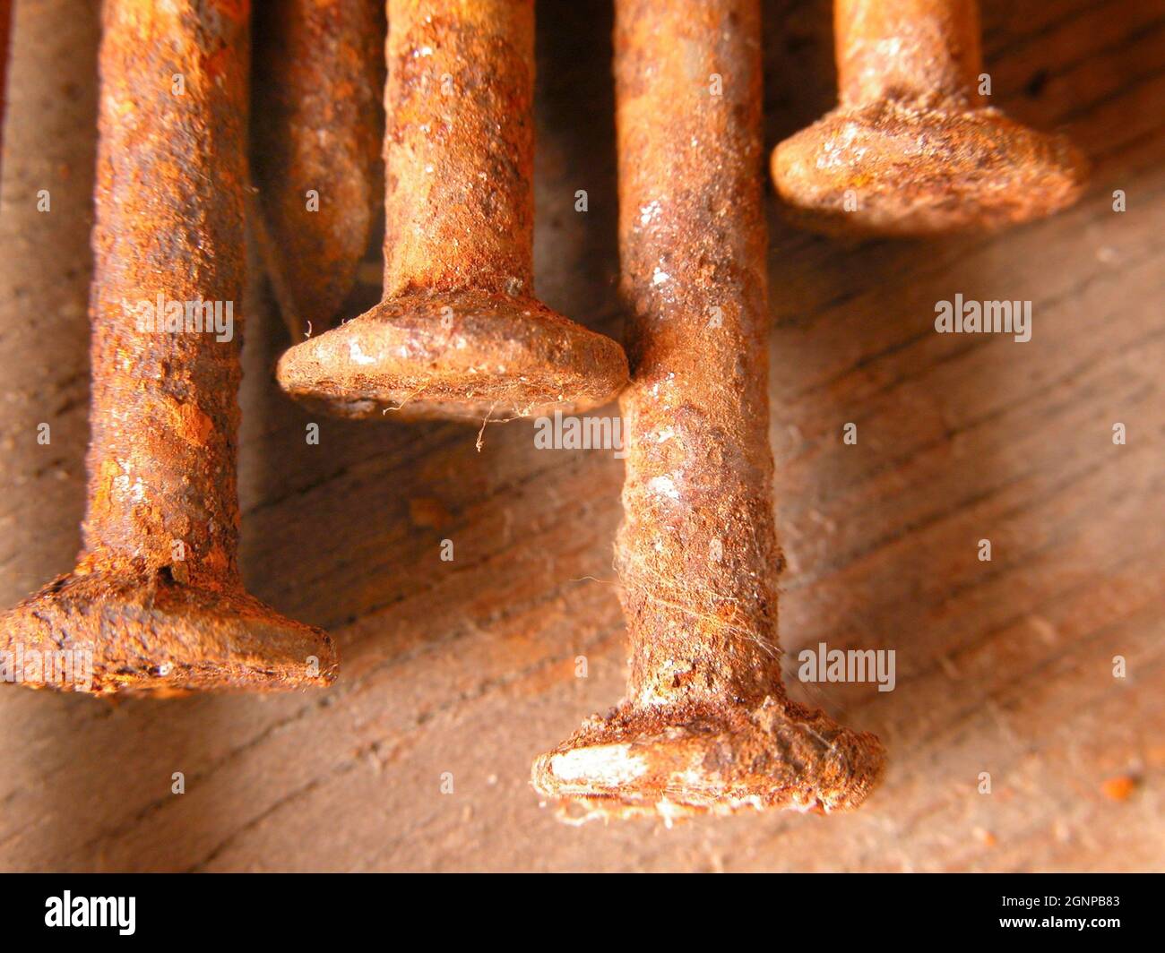 heads of rusty nails Stock Photo - Alamy