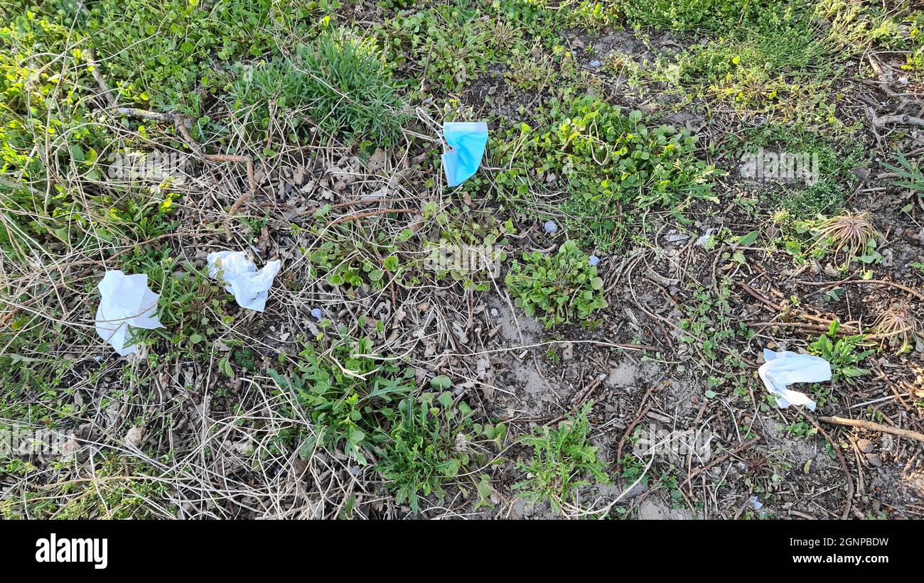 trashed face mask an other trash in the dunes, Netherlands Stock Photo ...