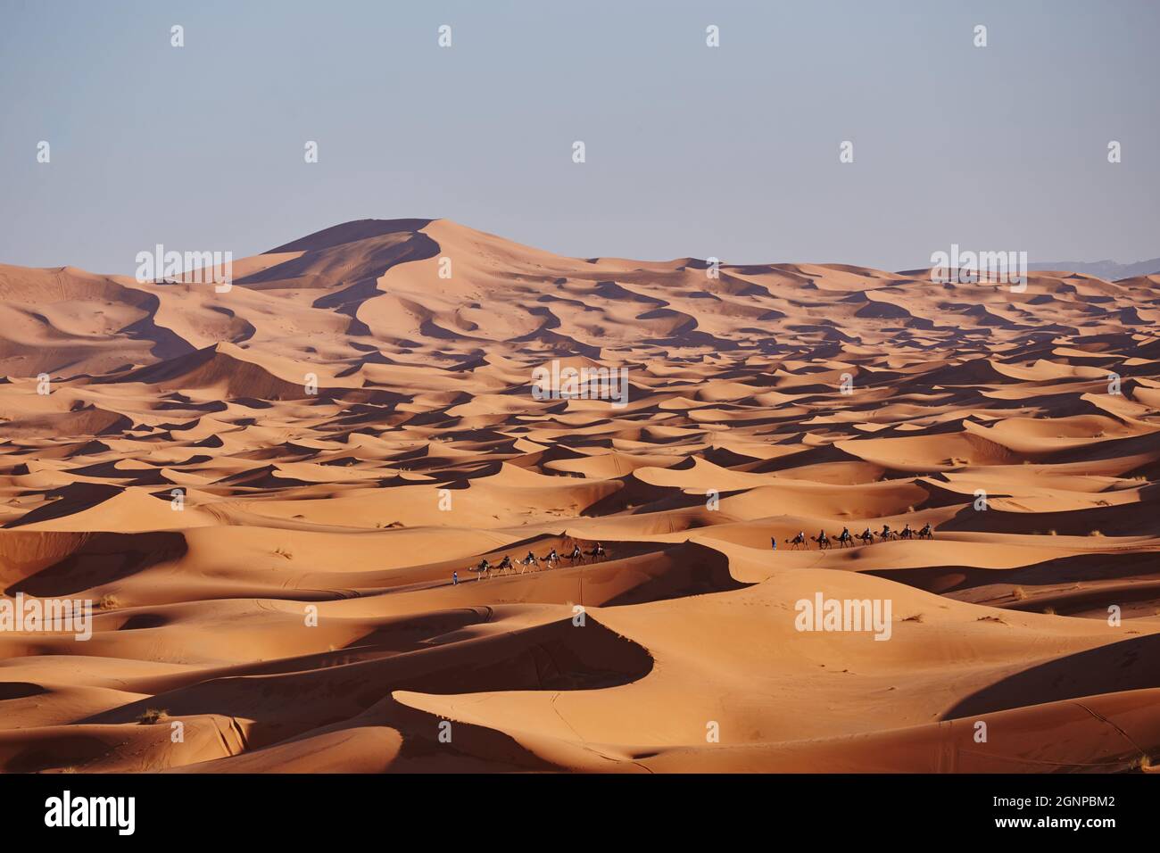 Endless Sands of the Sahara desert. Beautiful sunset over sand dunes of ...