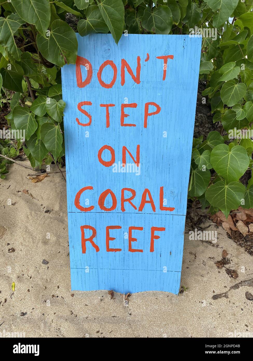 Closeup shot of a handpainted sign at Oahu beach reminding swimmers not ...