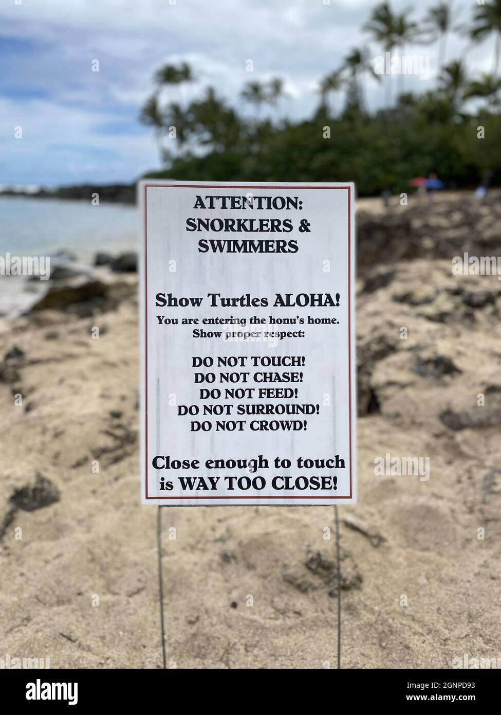 Sign at Oahu beach reminding swimmers to show turtles Aloha Stock Photo ...