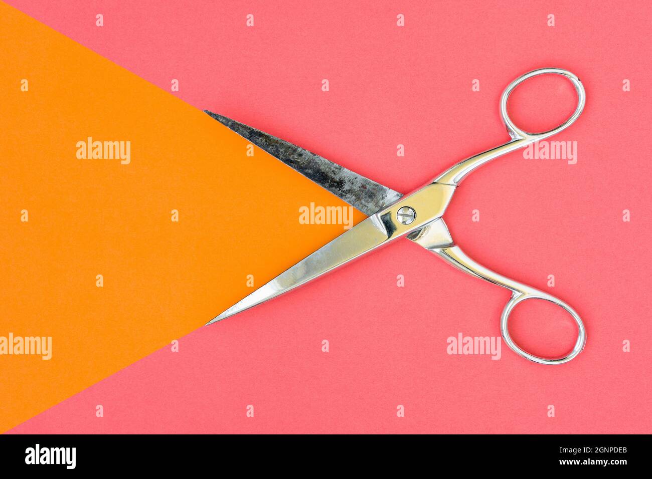 Colorful background with metal scissors. Minimalistic concept. Flat lay ...
