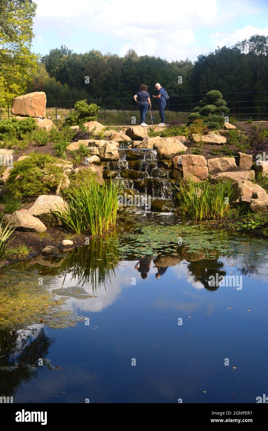 Couple pool waterfall hi-res stock photography and images - Alamy