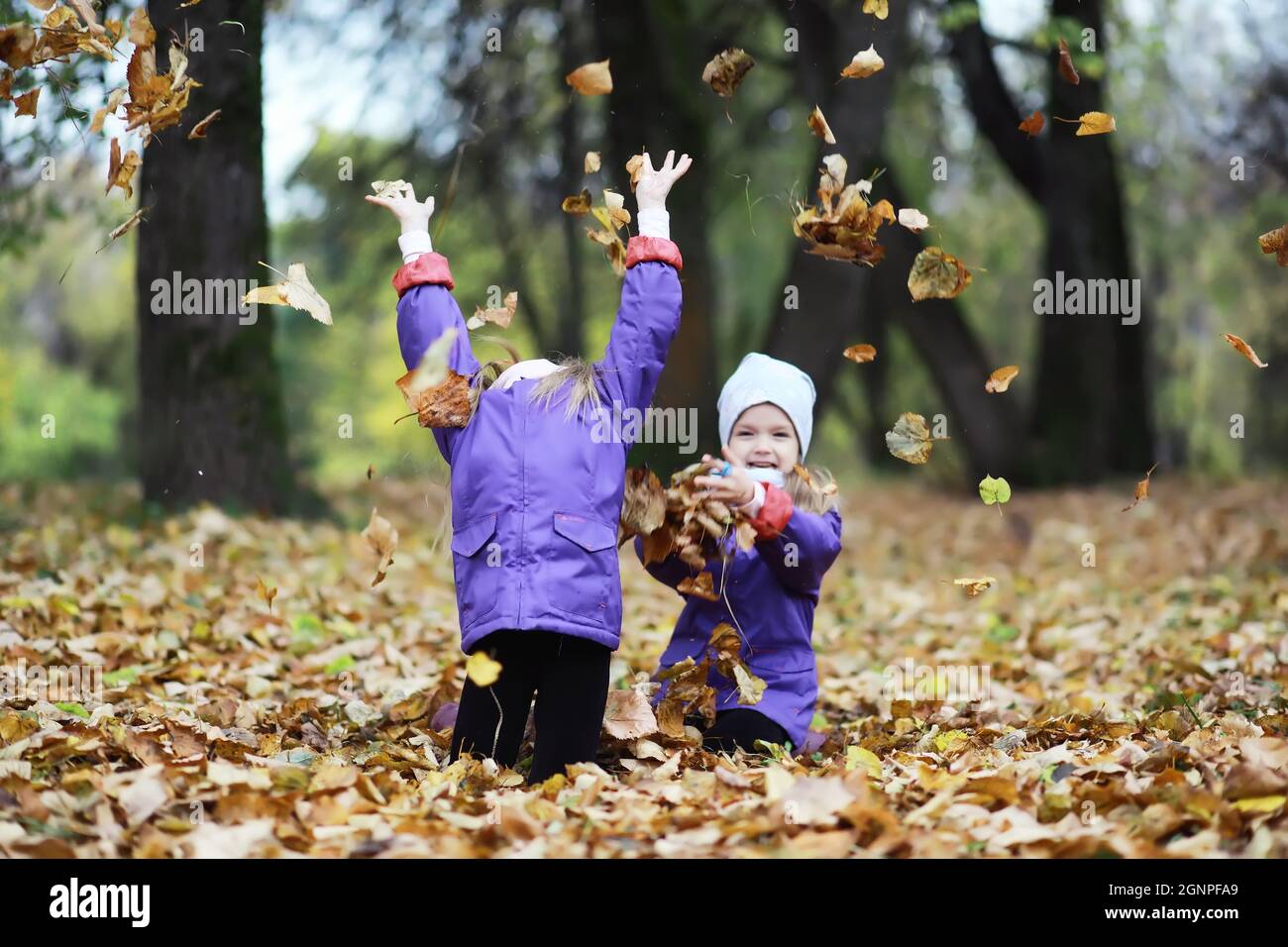 Children for a walk in autumn park. Leaf fall in the park. Family. Fall ...