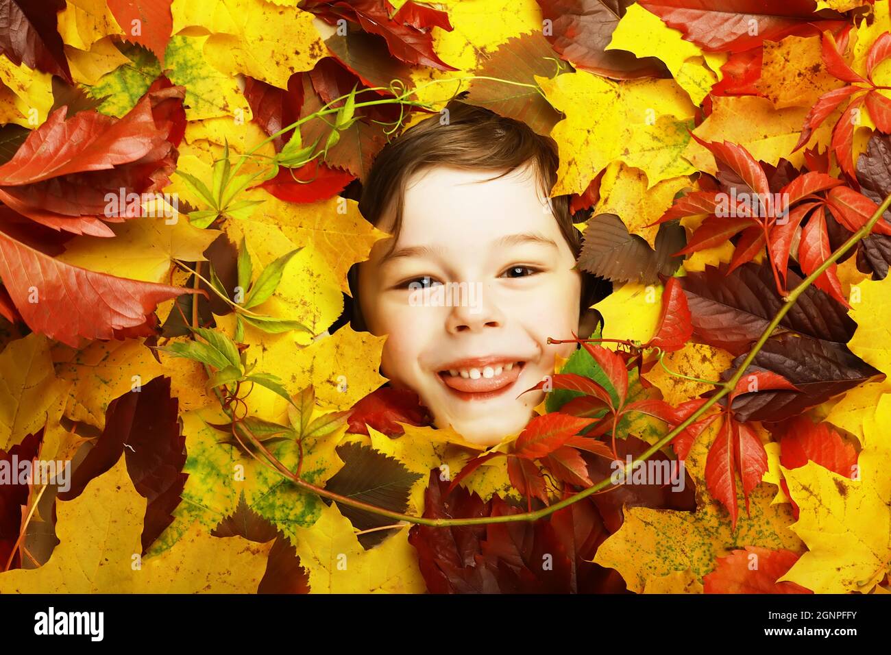 Artistic conceptual autumn boy portrait. Colorful leaves. Leaves of ...