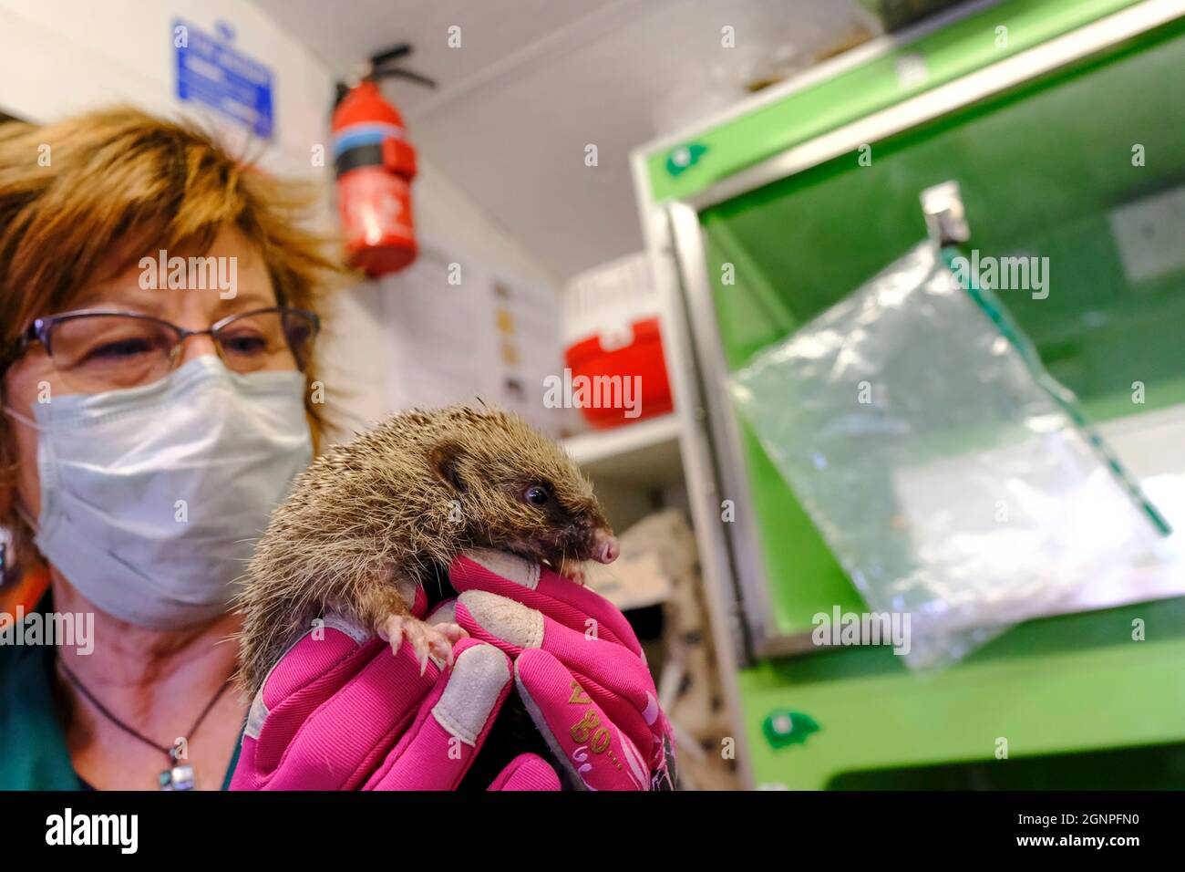 Best hospital hi-res stock photography and images - Alamy