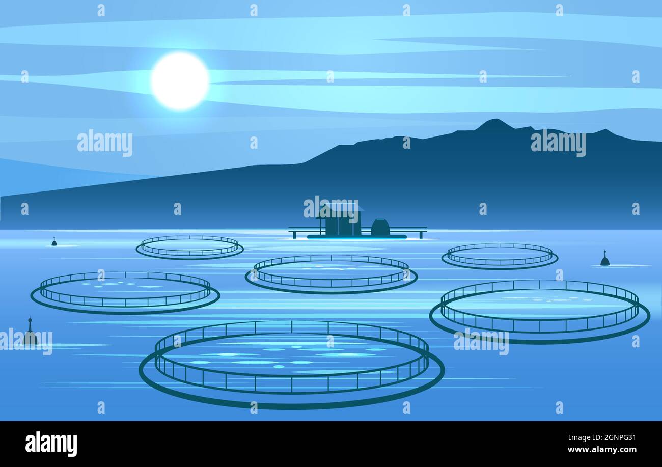 Openwater fish growing Stock Vector Image & Art - Alamy