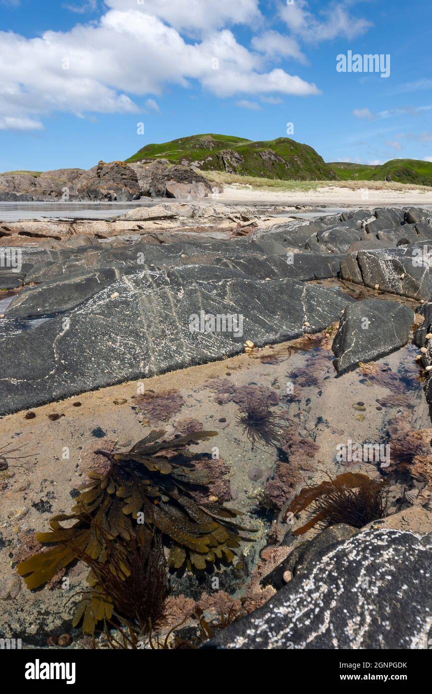 Rockpool on Ardalanish beach, Isle of Mull, Scotland, UK Stock Photo ...