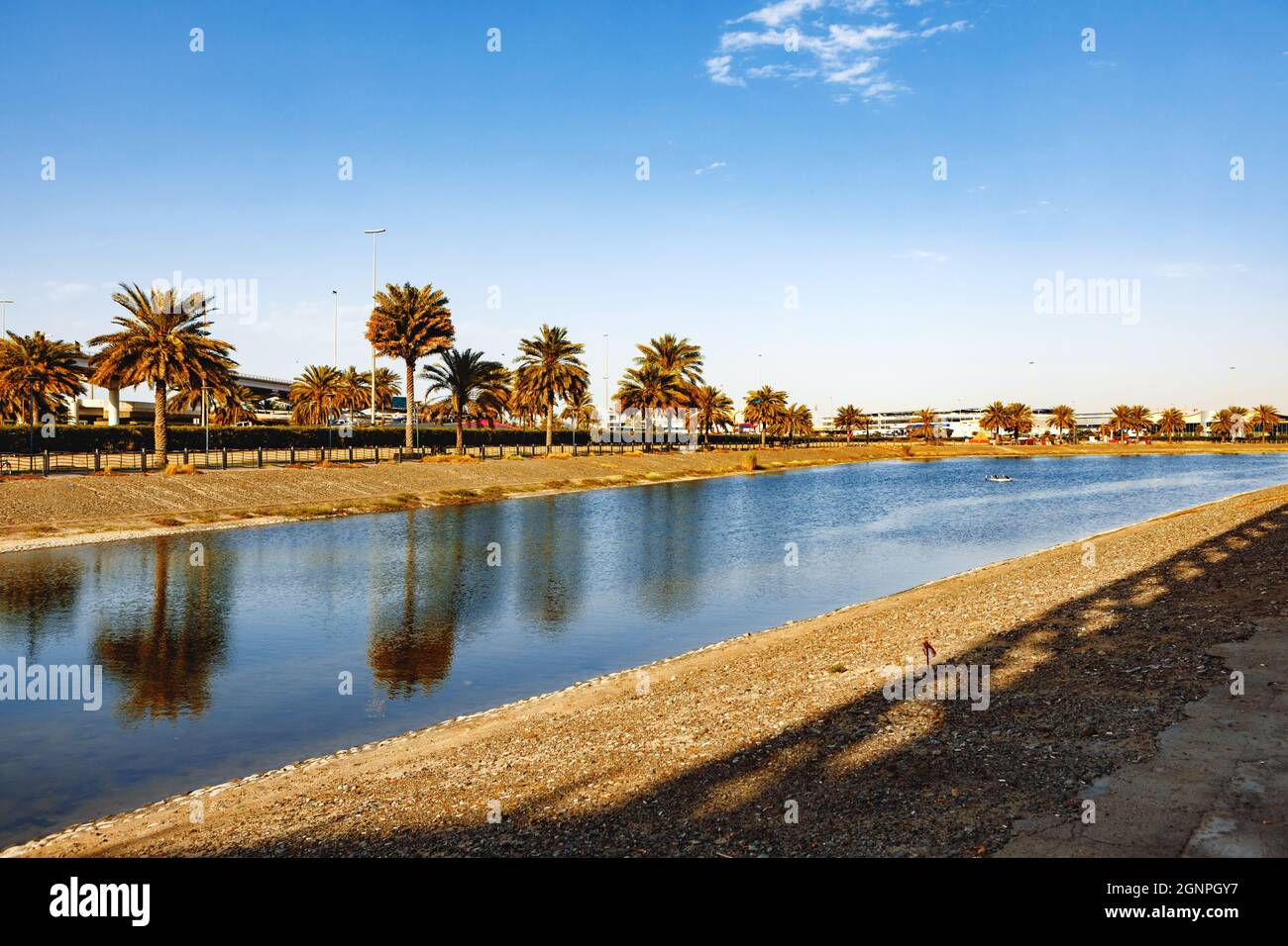 Palm trees along water canal in Dubai city Stock Photo - Alamy