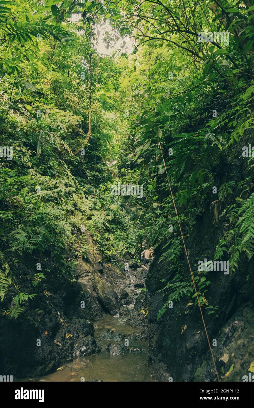 waterfall in the jungle Stock Photo - Alamy