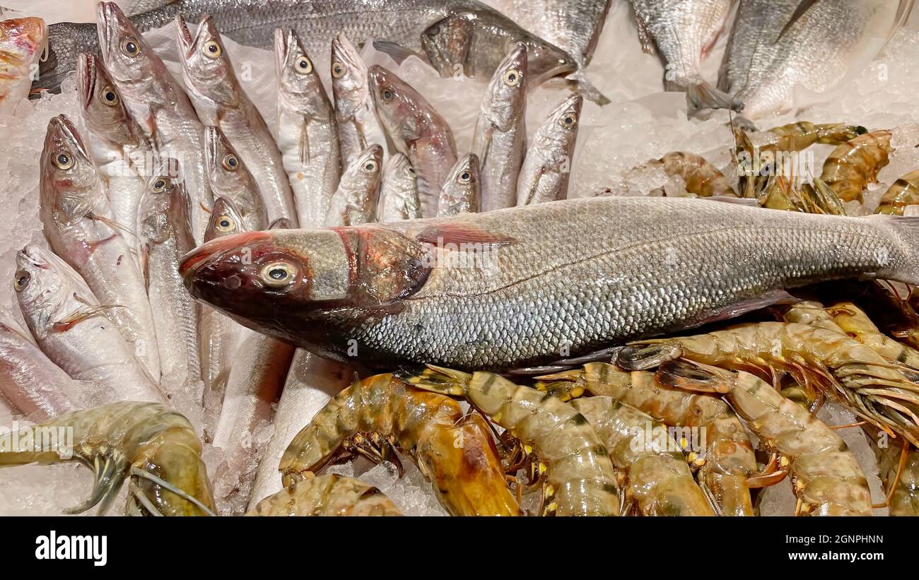 ready for sale seafoods at the fisherman's counter Stock Photo - Alamy
