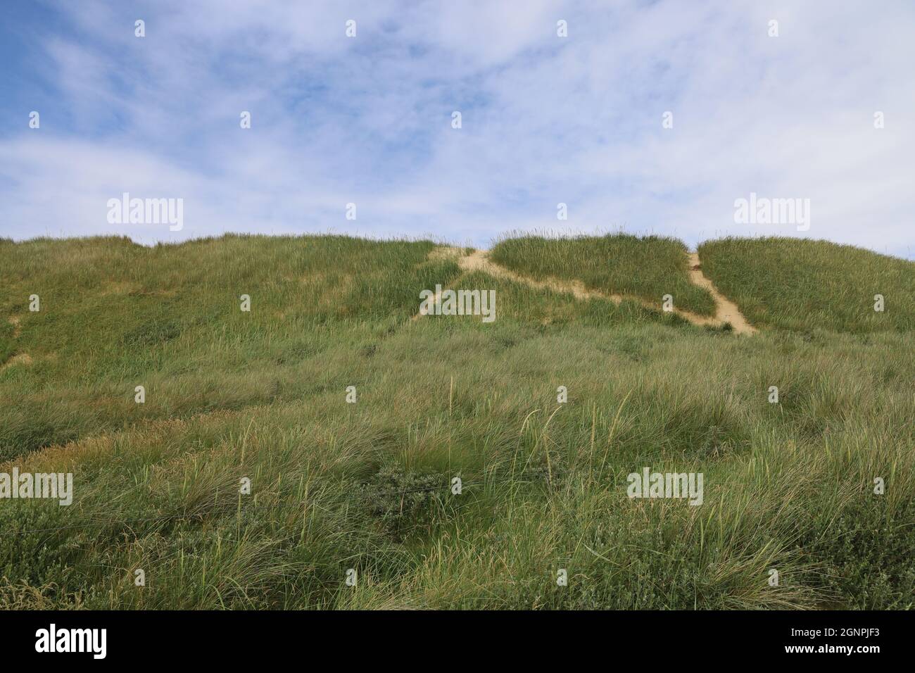 Grassy coast landscape on a cloudy day Stock Photo - Alamy