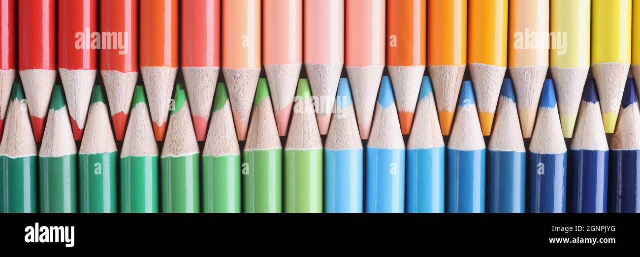 Many shades of sharp multicolored wooden pencils lying in colors of ...