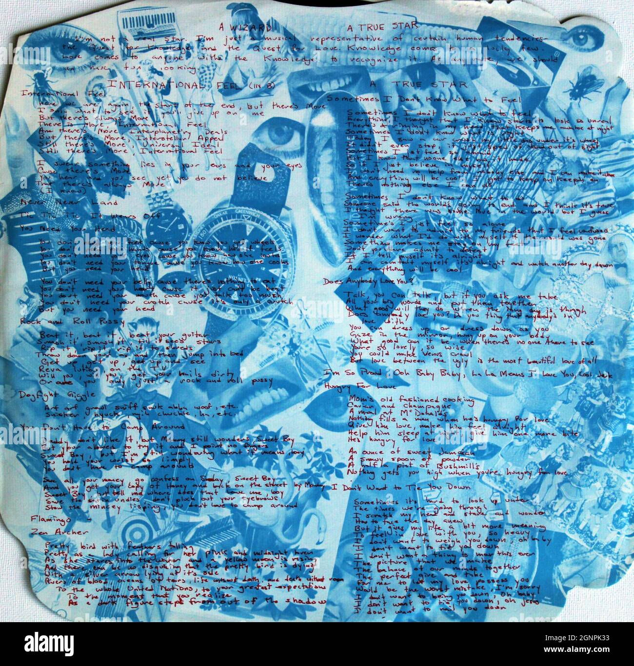 Todd Rundgren: 1973. LP inner sleeve a 'A Wizard, A True Star' Stock ...