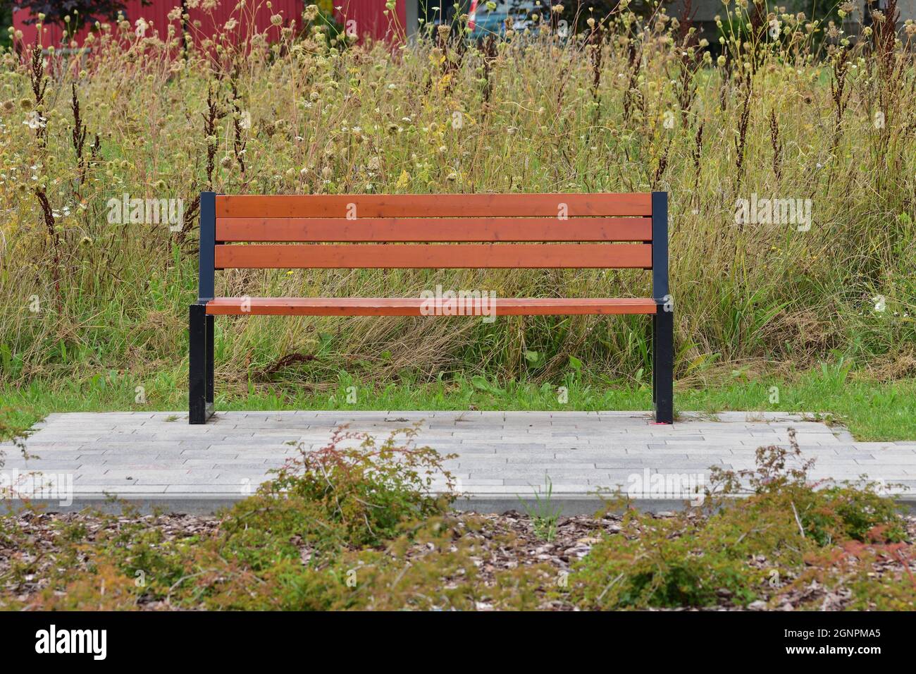 Park bench by a pedestrian path on a cloudy day. Rest Stock Photo - Alamy