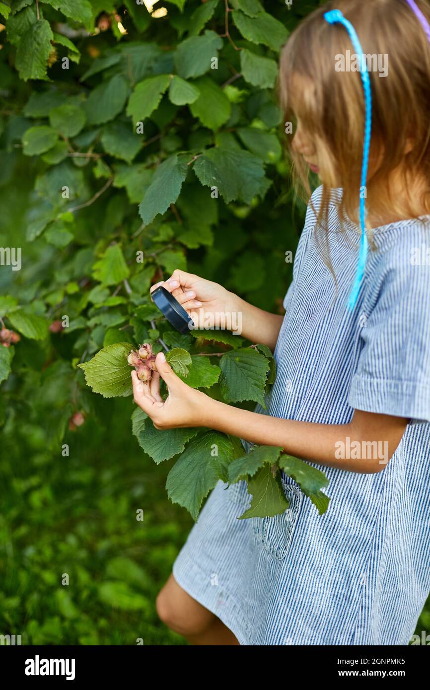 The hand of a child, little girl , holding and look through magnifying ...