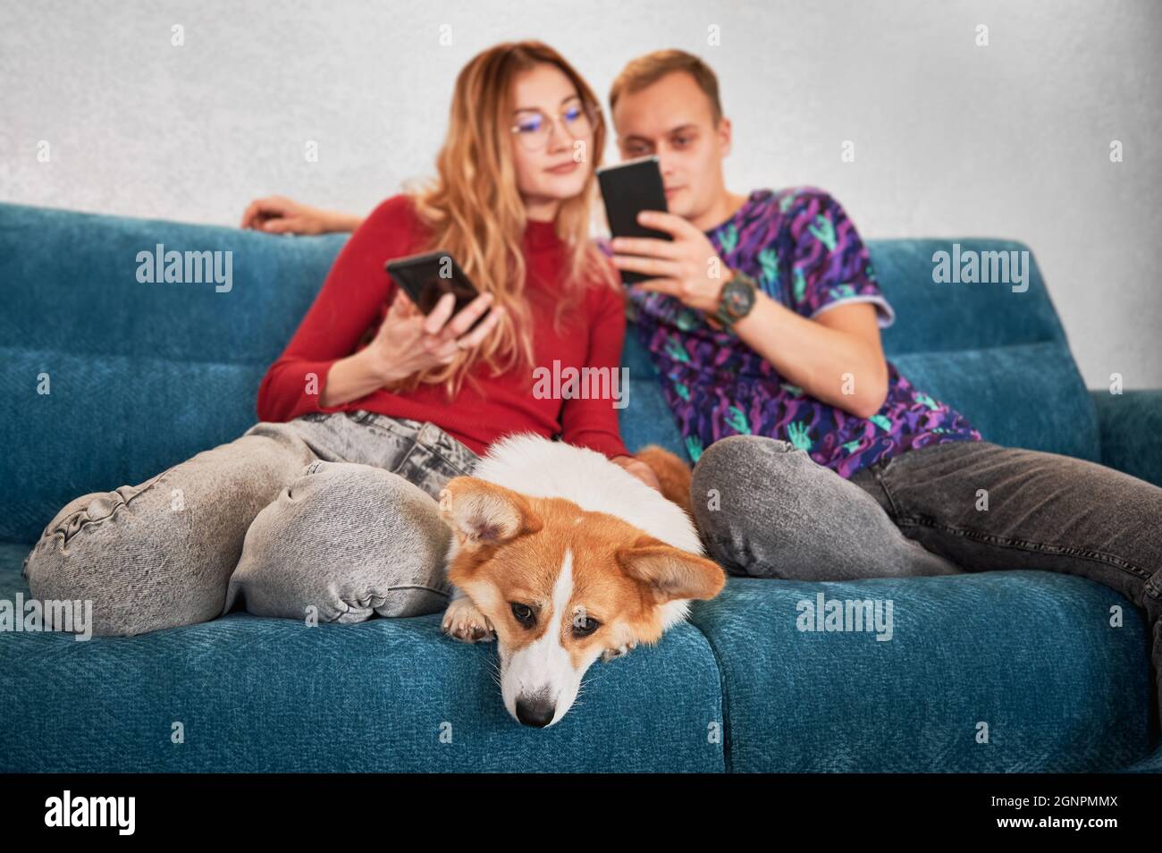 Sad pet owners hi-res stock photography and images - Alamy