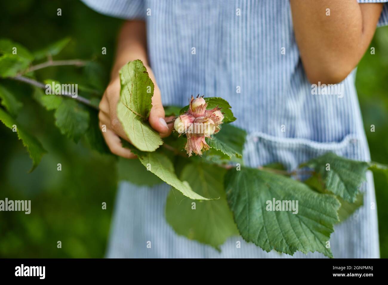 The hand of a child, little girl , holding and look through magnifying ...