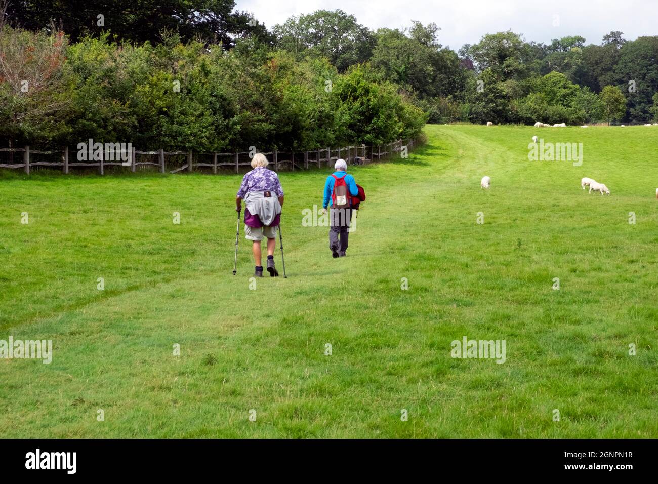 Back view two women outside walking hi-res stock photography and images ...