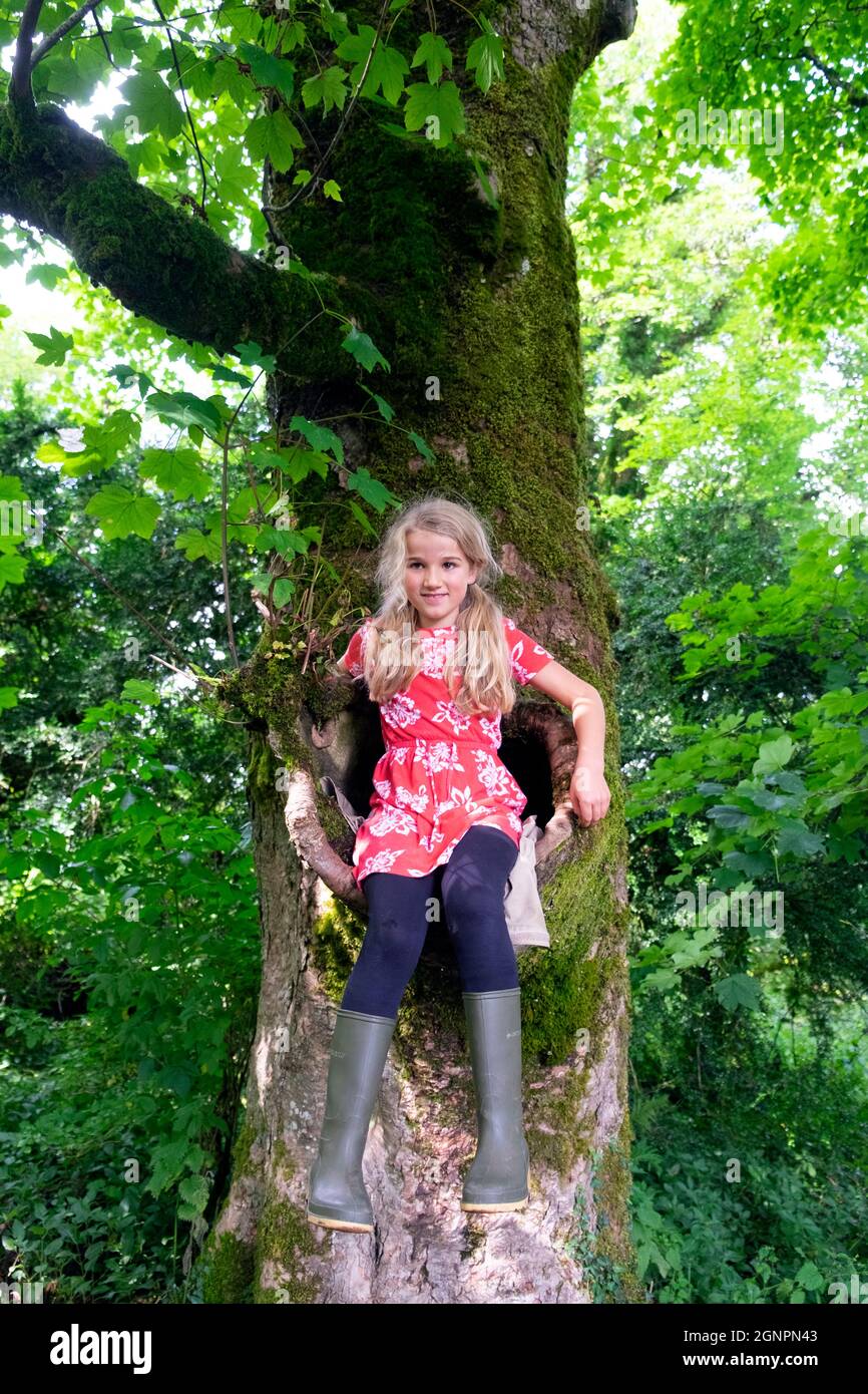 Girls in a tree hi-res stock photography and images - Alamy