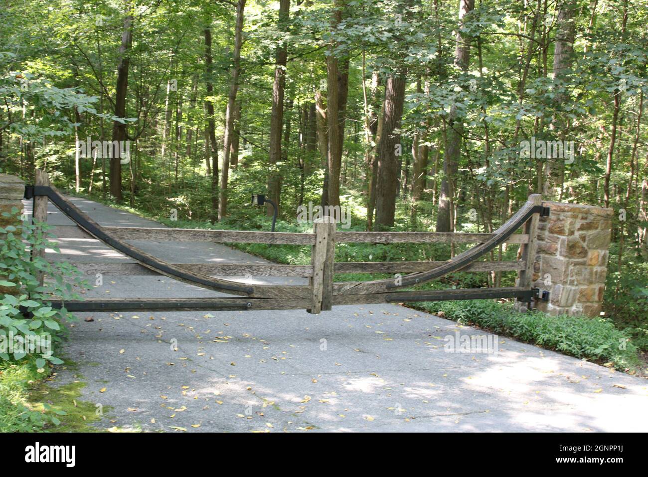 Path with a closed gate surrounded by trees Stock Photo - Alamy