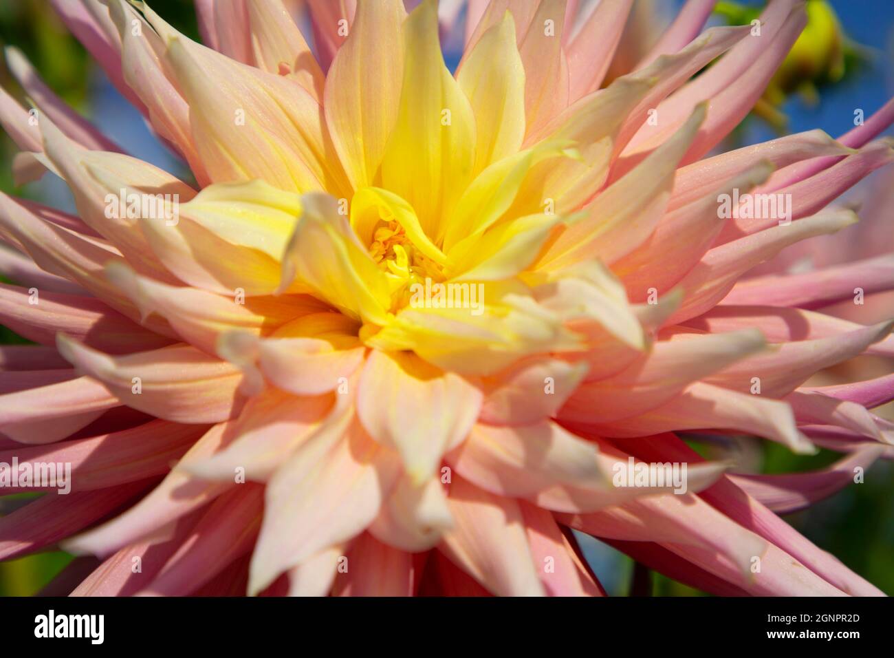 Clearview hi-res stock photography and images - Alamy