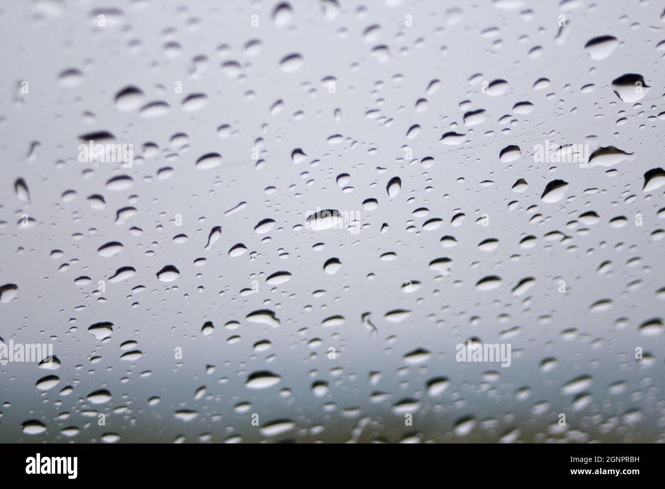 Water droplets on a window Stock Photo - Alamy