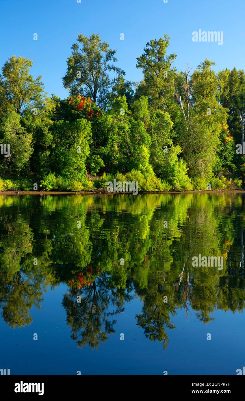 Willamette River reflection, Molalla River State Park, Canby, Oregon ...