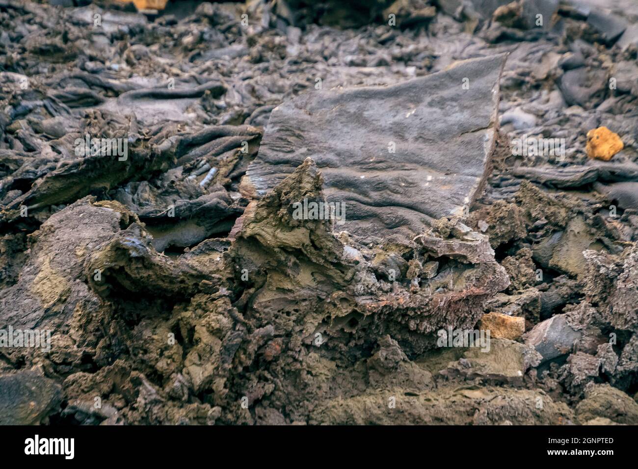 Closeup shot of a fresh lava field in Iceland with its small details ...