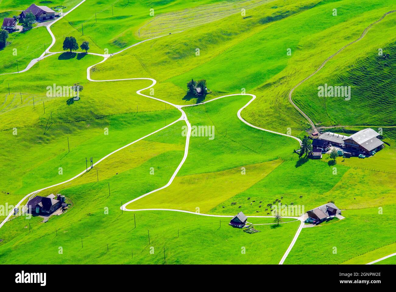 Elevated view of alpine landscape Dallenwil, Wolfenschiessen, Canton of ...