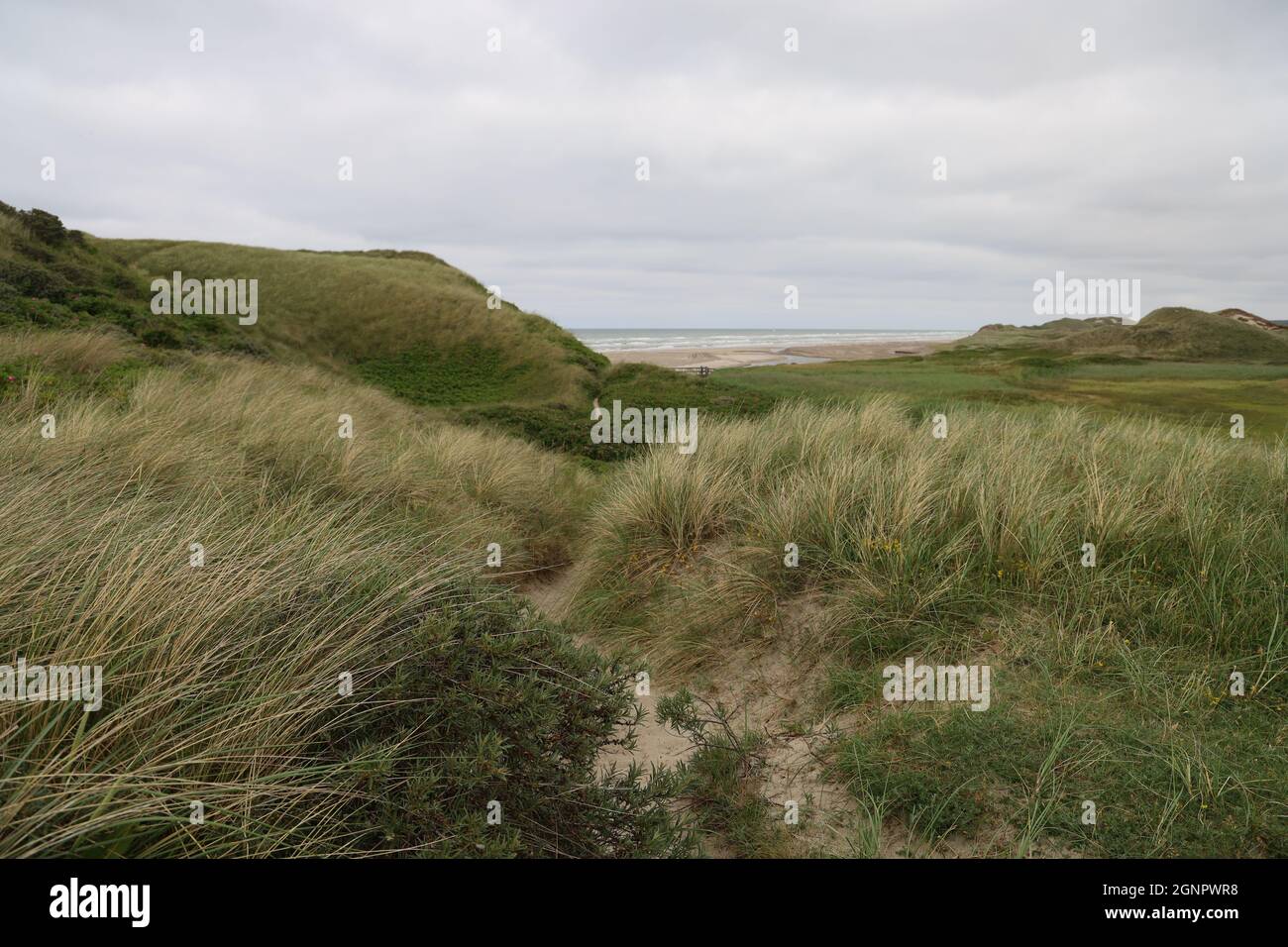 Grassy coast landscape on a cloudy day at the Kaersgaard beach Stock ...