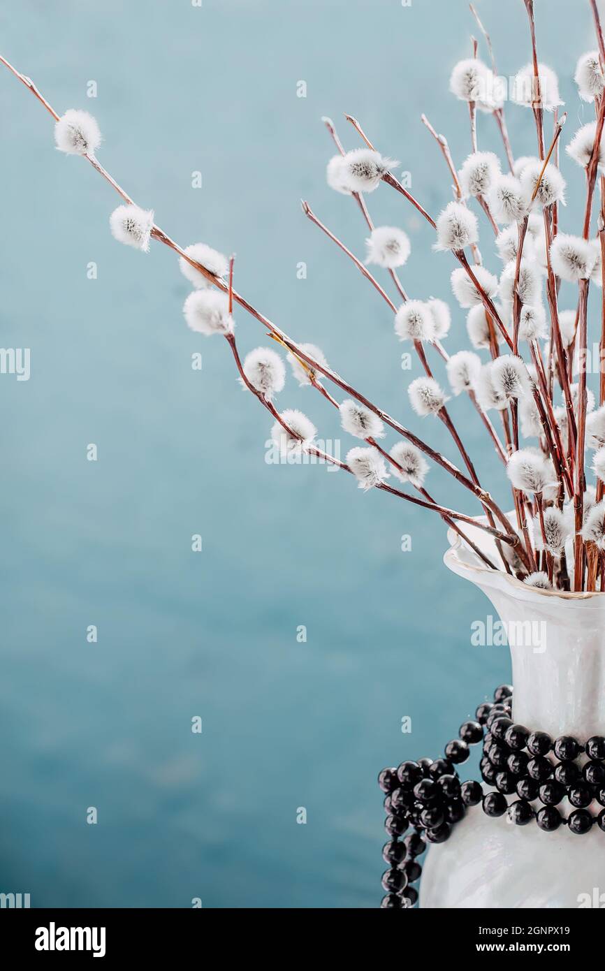 Spring background. Willow in a vase Stock Photo - Alamy