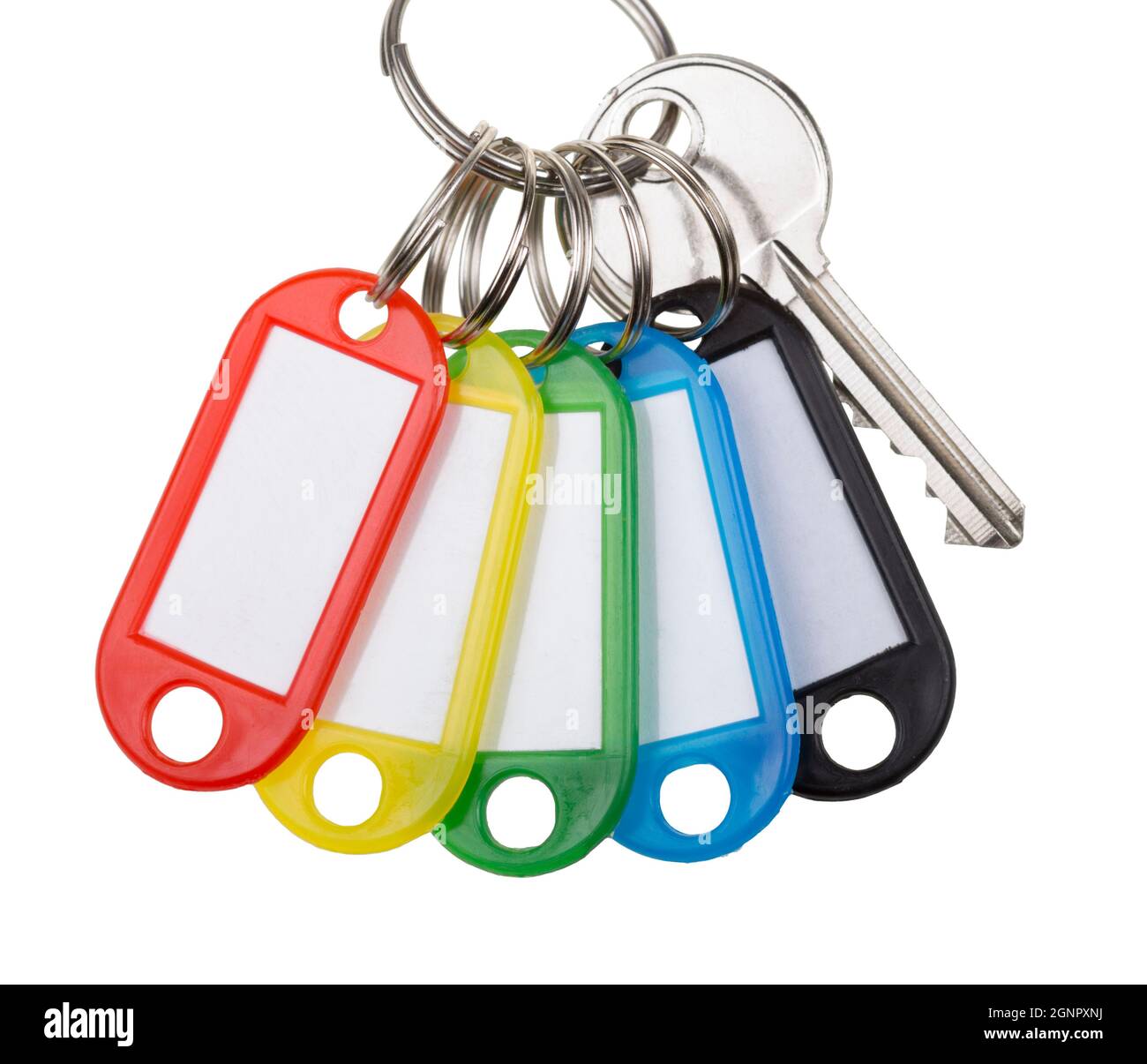 One key with five tags isolated on white Stock Photo - Alamy