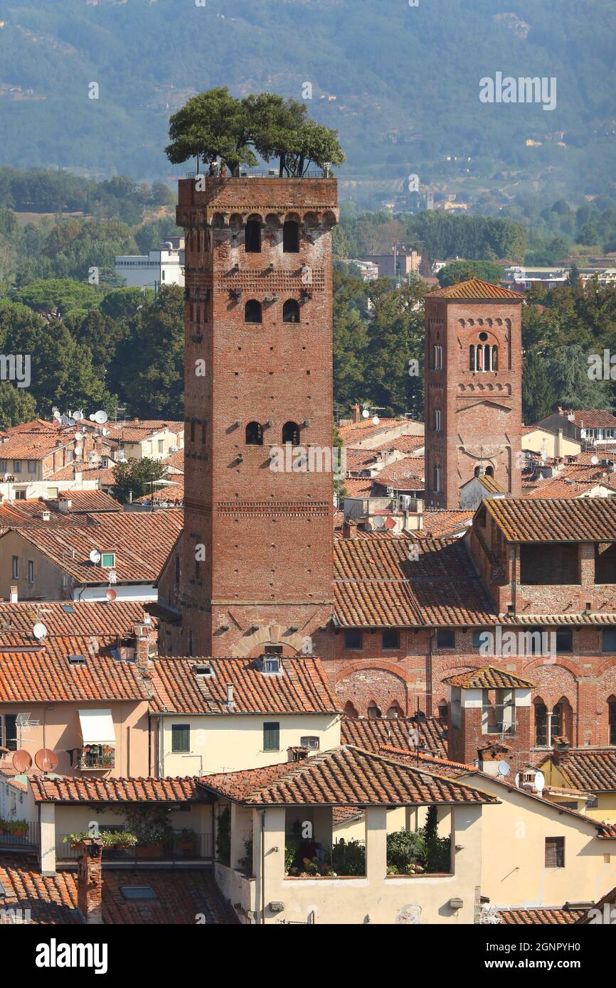 Lucca tower trees hi-res stock photography and images - Alamy
