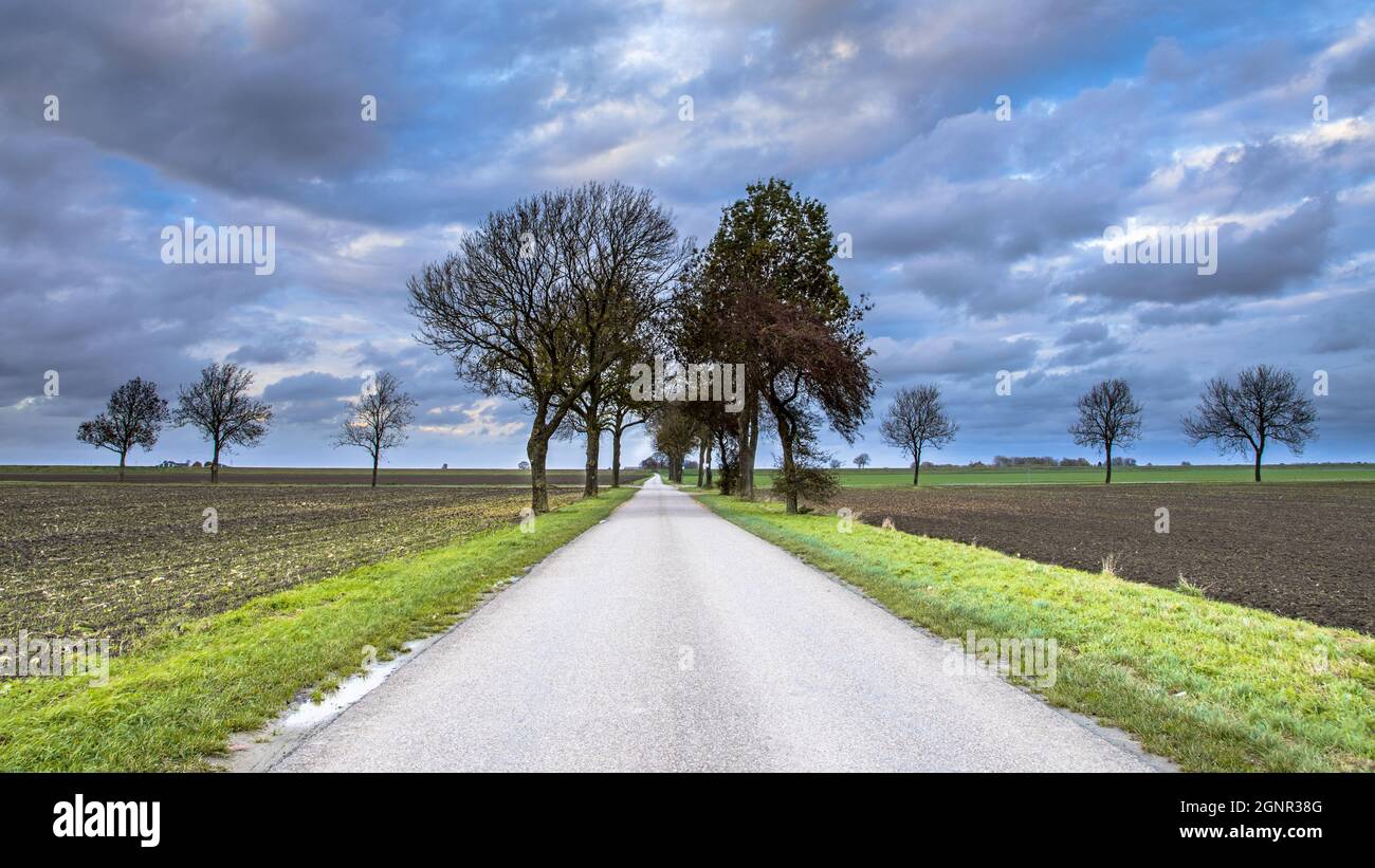 Road in dutch countryside in Groningen Province, the Netherlands ...